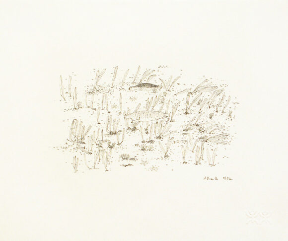 Shuvinai Ashoona: Drawings 1993 - 2007 | Art Exhibition Vancouver ...
