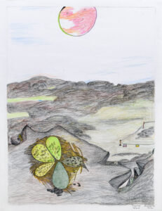 The Kinngait Archives: Shuvinai Ashoona | Art Exhibition Vancouver ...